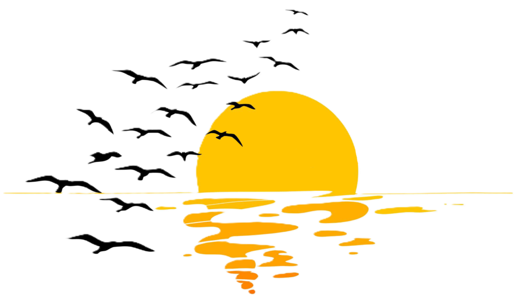 Headlands Birding Festival 2026 | Official Lake Erie Birding Festival