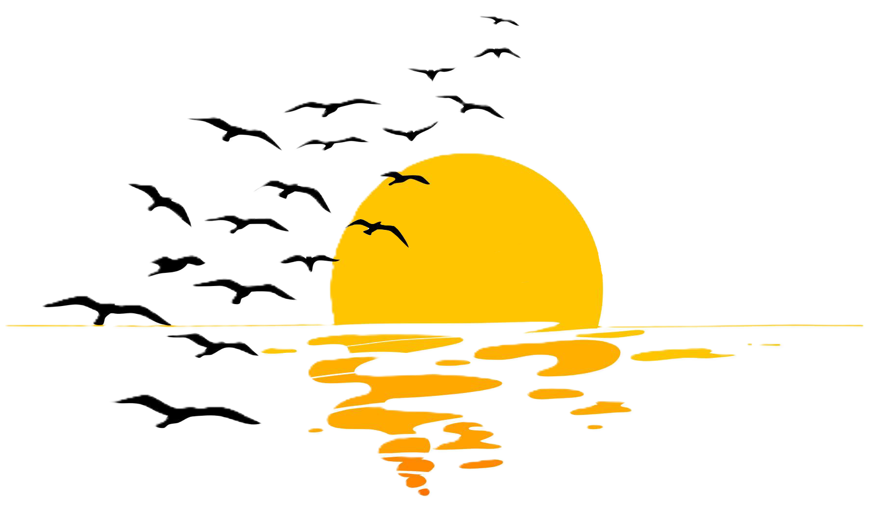 Headlands Birding Festival 2026 | Official Lake Erie Birding Festival